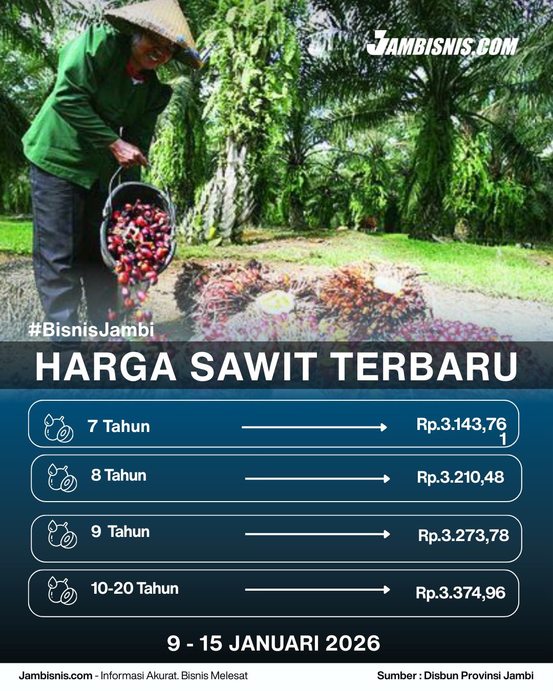Harga TBS Kelapa Sawit Jambi Terbaru, Sepekan ke Depan Turun