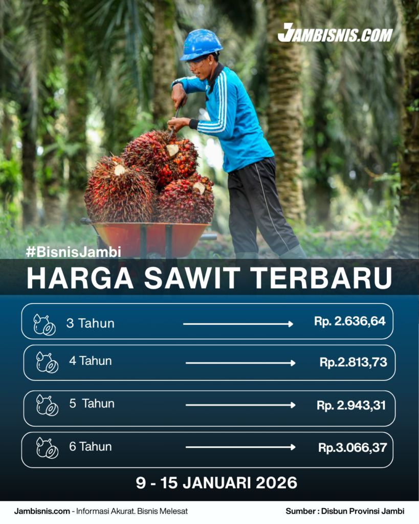 Harga TBS Kelapa Sawit Jambi Terbaru, Sepekan ke Depan Turun